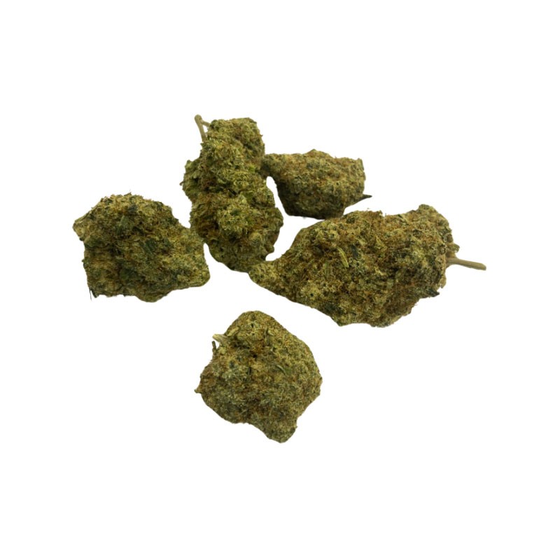 Mango Kush CBD - Le Point Chanvre